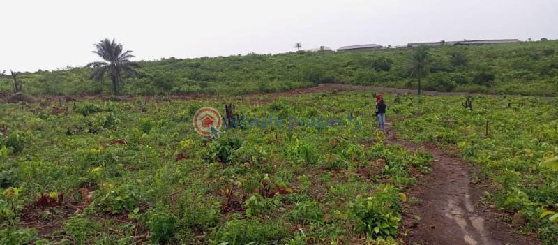 For sale: Land Flourish Farm Estate Located At Isiwo Town Immediately ...